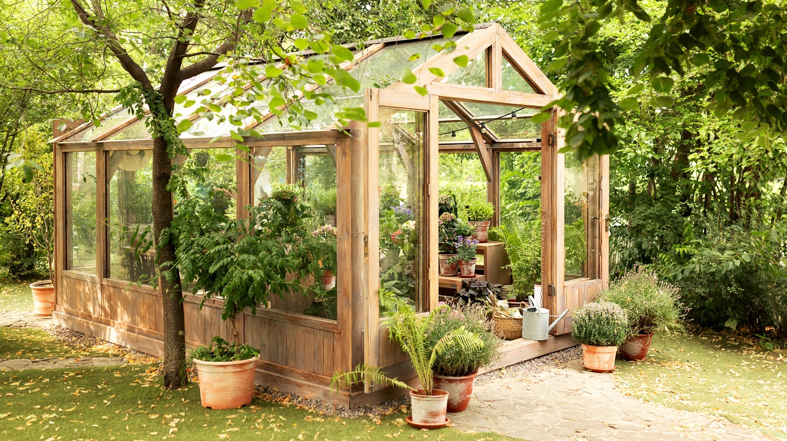 Best Location For A Greenhouse Choosing The Right Location For Your