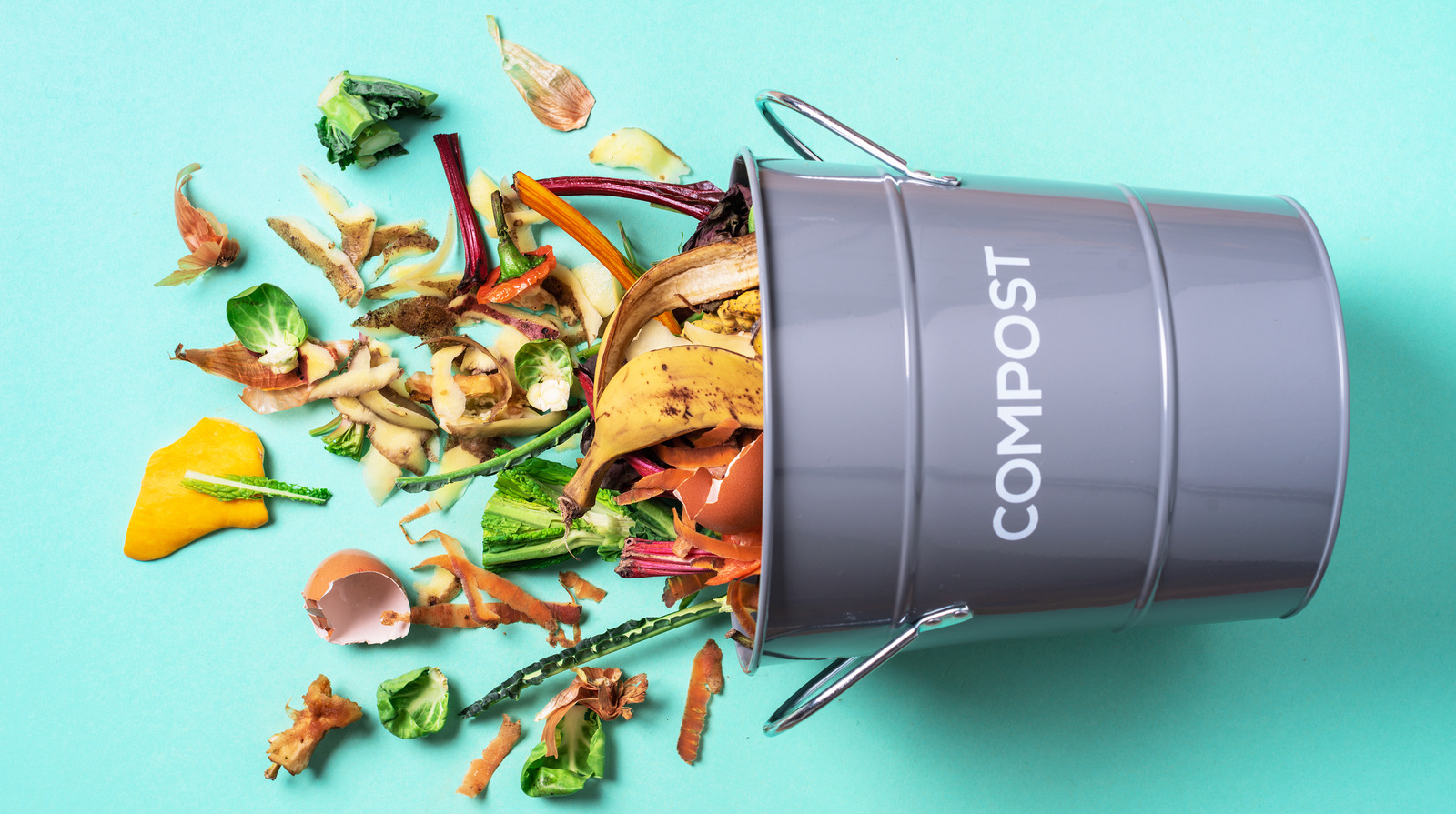 The 3 Best Kitchen Leftovers To Add Directly To Your Garden