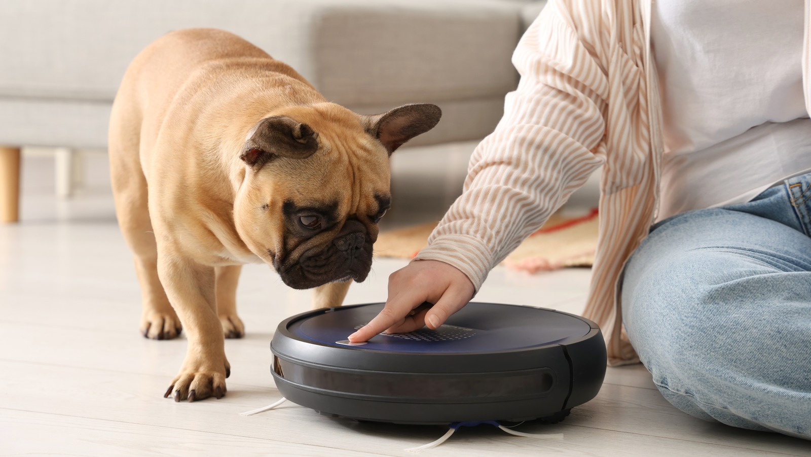 The 7 Best Robot Vacuums For Pet Hair, Based On Your Home