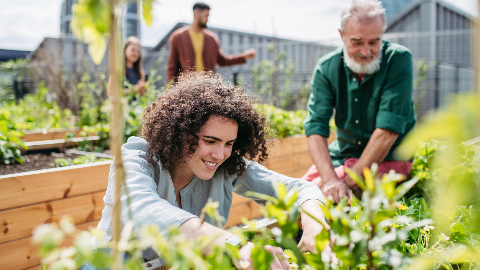 The 7 Safest Types Of Weed Killer To Use In Your Vegetable Garden ...