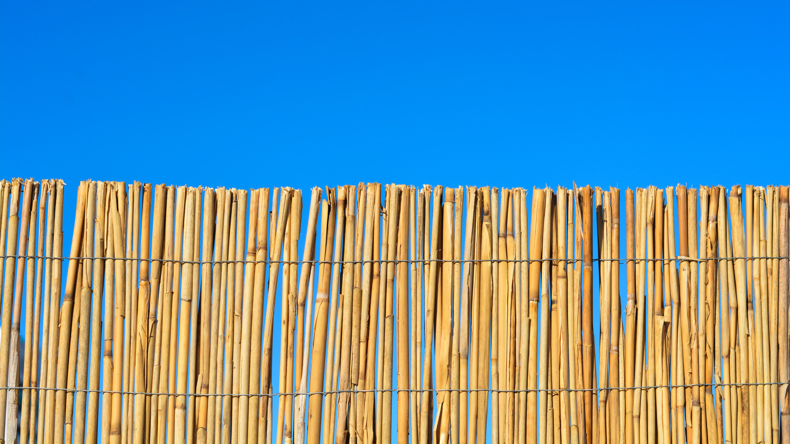 What To Consider Before Deciding On Reed Fencing For Your Yard Or Garden