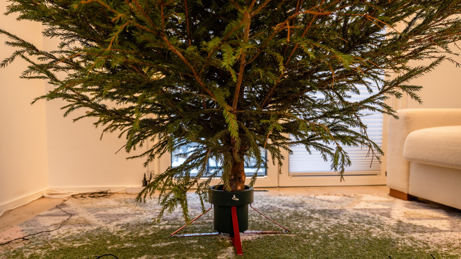 The Affordable Tool That Easily Picks Up Fallen Pine Needles In Your Home