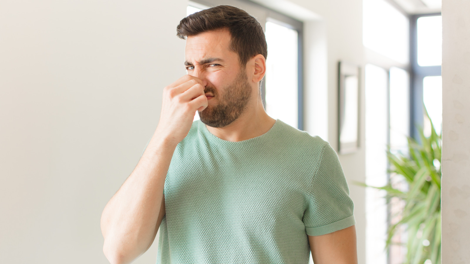 The Alcoholic Beverage That'll Eliminate The Scent Of Smoke In Your Home