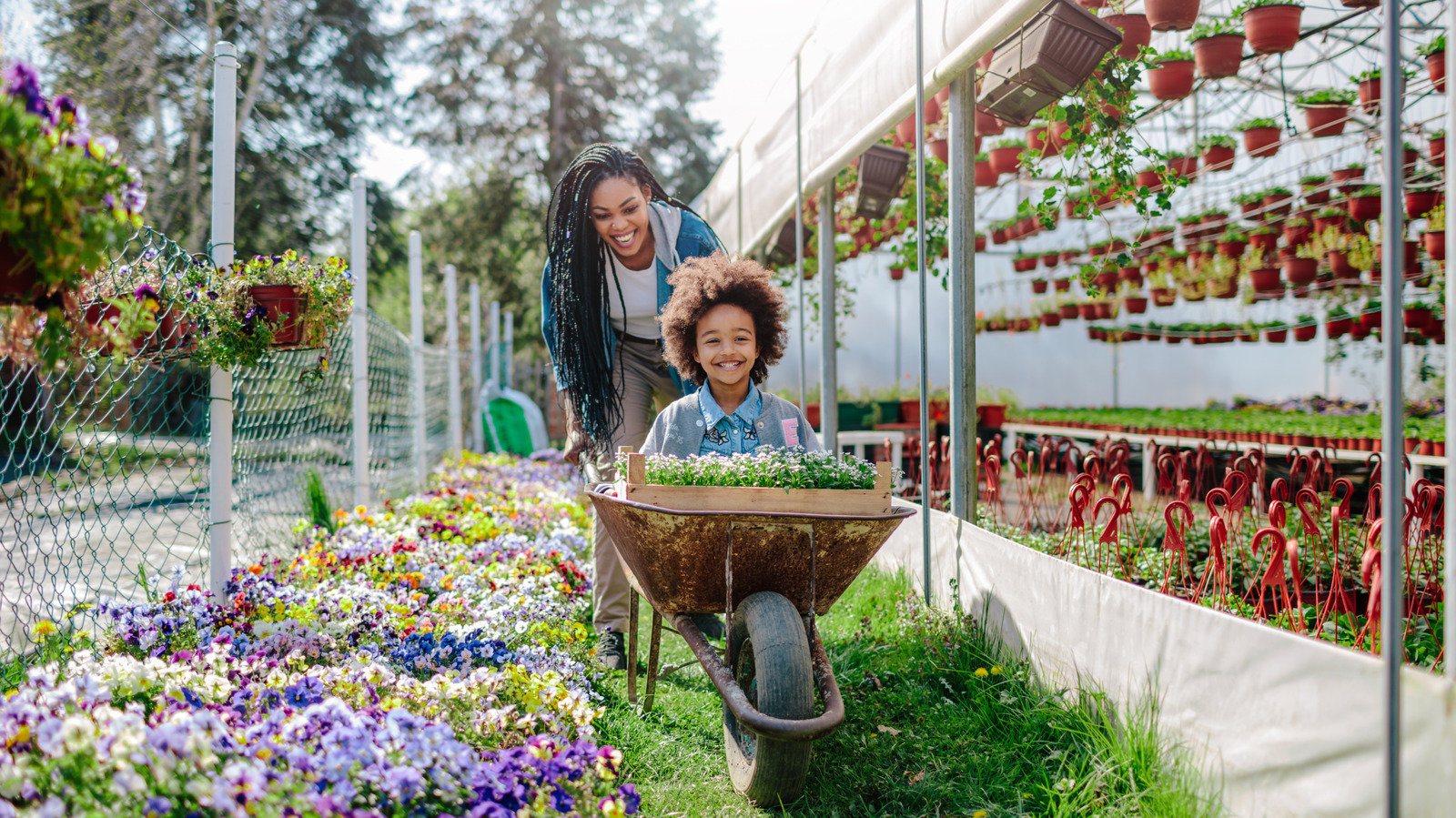 The Beautiful Flower Combination That's Great For Spring Pots