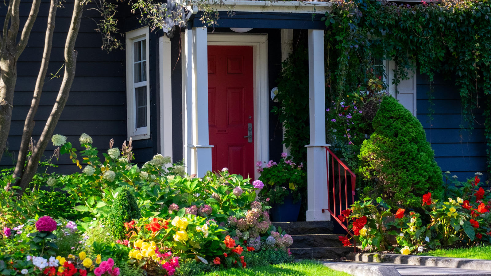 The Berried Bush Your Front Yard Landscaping Is Missing