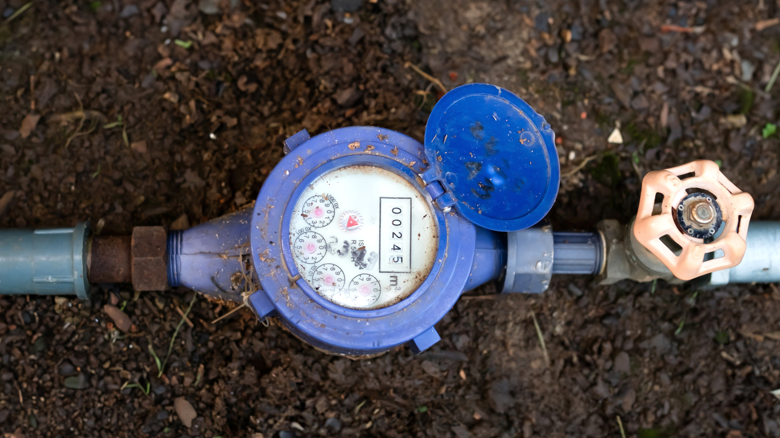 How To Hide Water Meter In Front Yard With Statues And Flowers