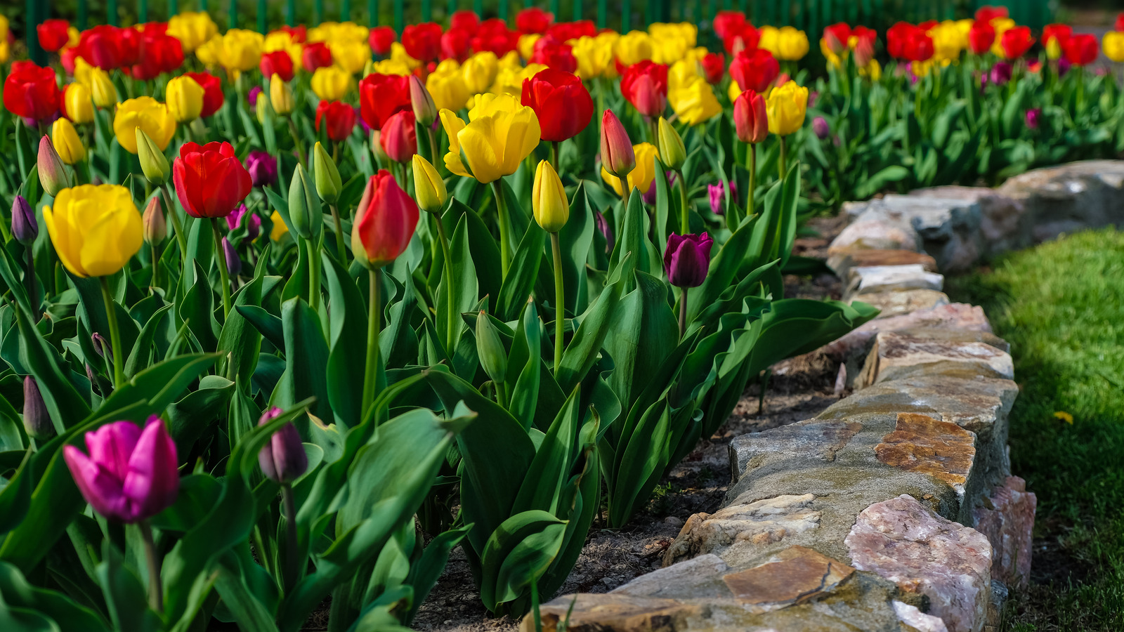 The Best Time To Edge Your Flower Bed (And Mistakes To Avoid)