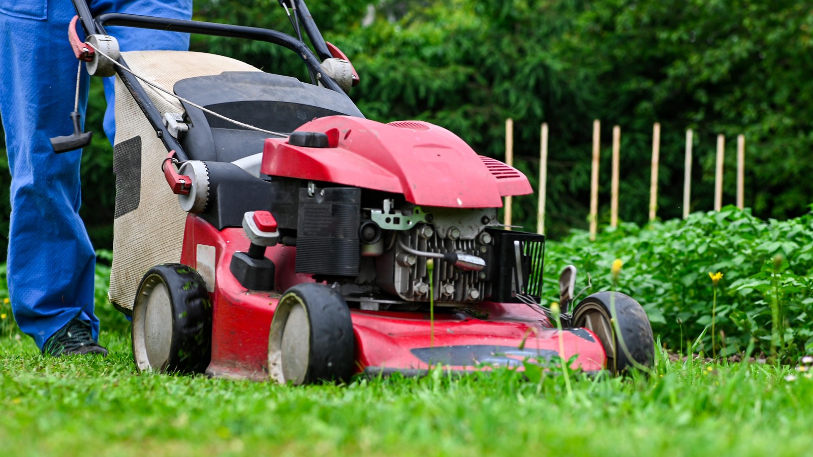 The Best Toro Lawn Mowers To Consider For Your Yard, Based On Reviews