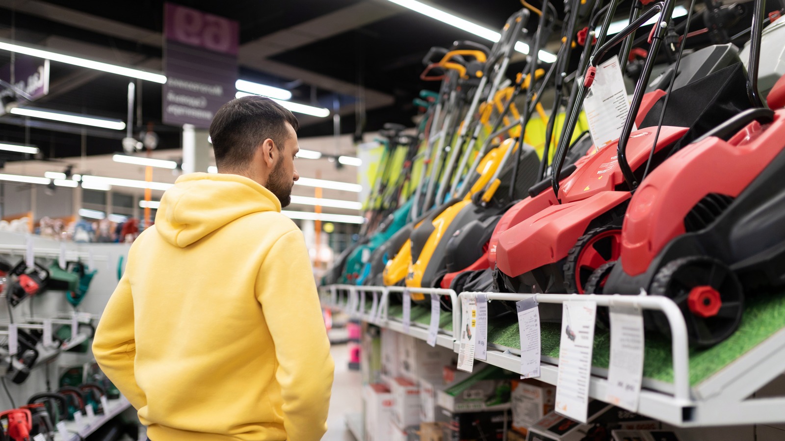 The Best Type Of Lawn Mower To Use In Your Small Yard