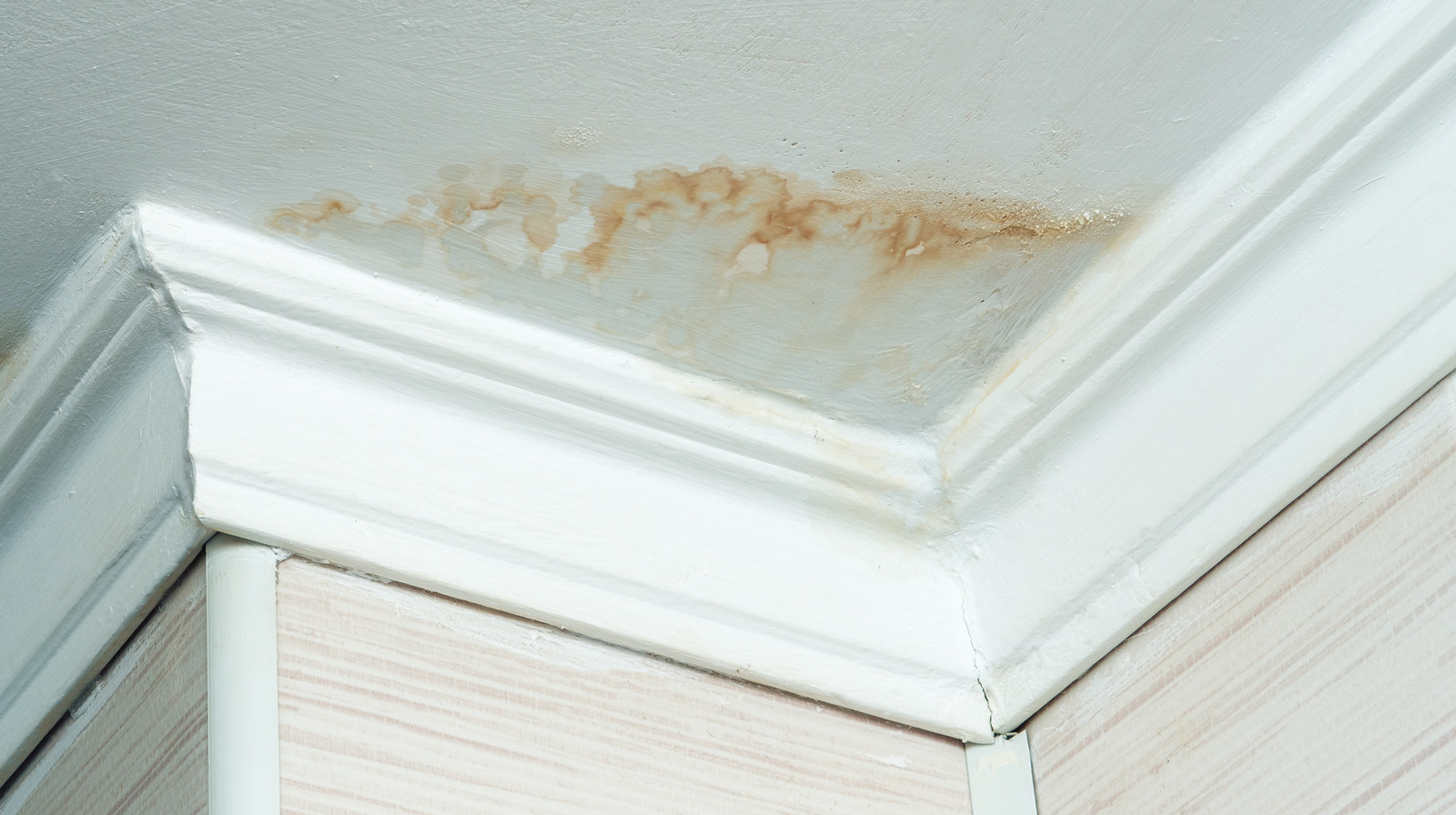 The Best Type Of Primer To Use When Covering Up Nasty Brown Water Stains