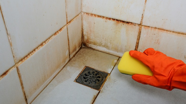 The Best Way To Remove Rust From Your Shower And Showerhead