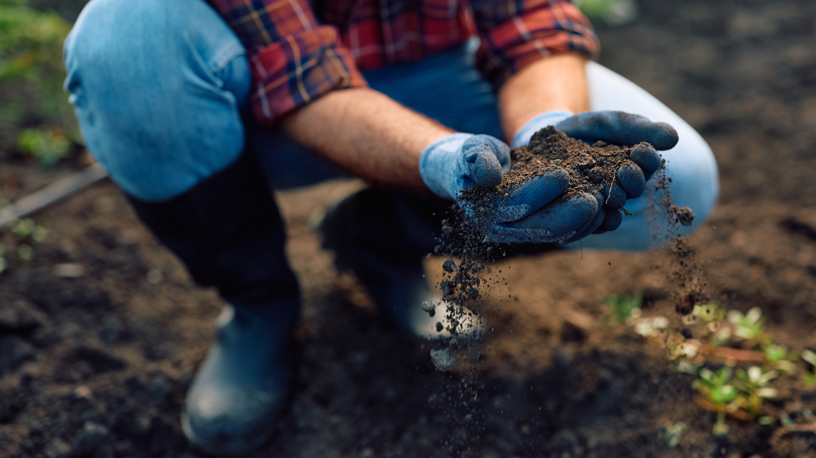 The Best Ways To Amend Soil After A Cold Winter To Set Your Garden Up ...