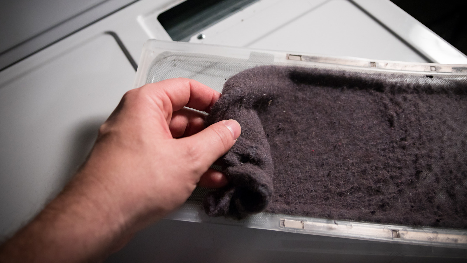 The Clever Way You Can Repurpose Dryer Lint To Save Money During A Move