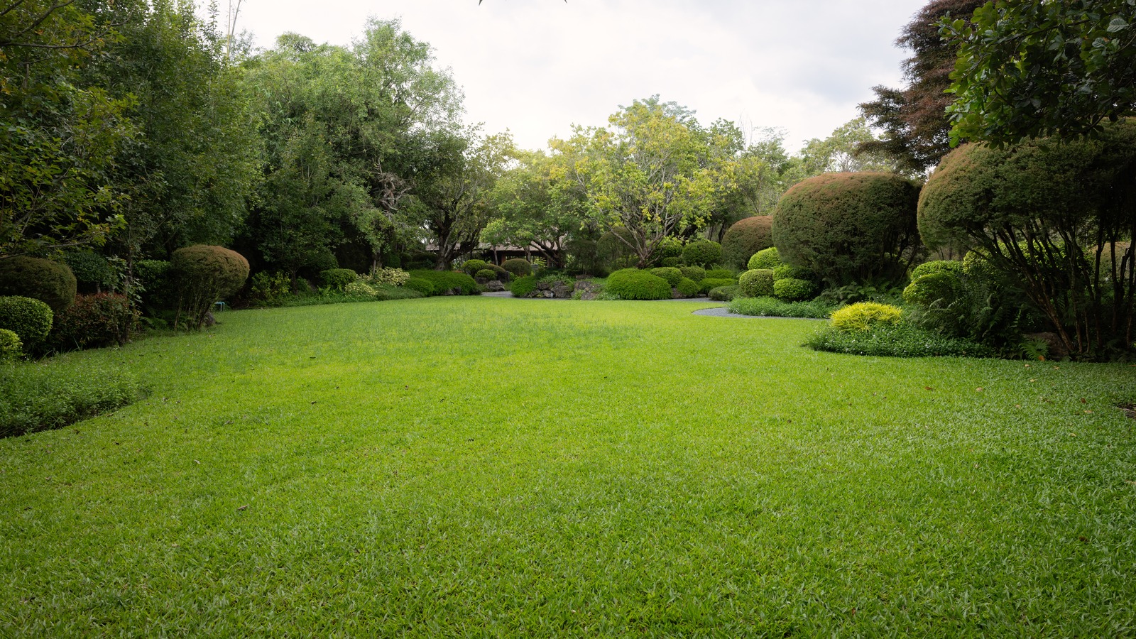 The Climate Sign That It's Time To Rip Up Your Lawn