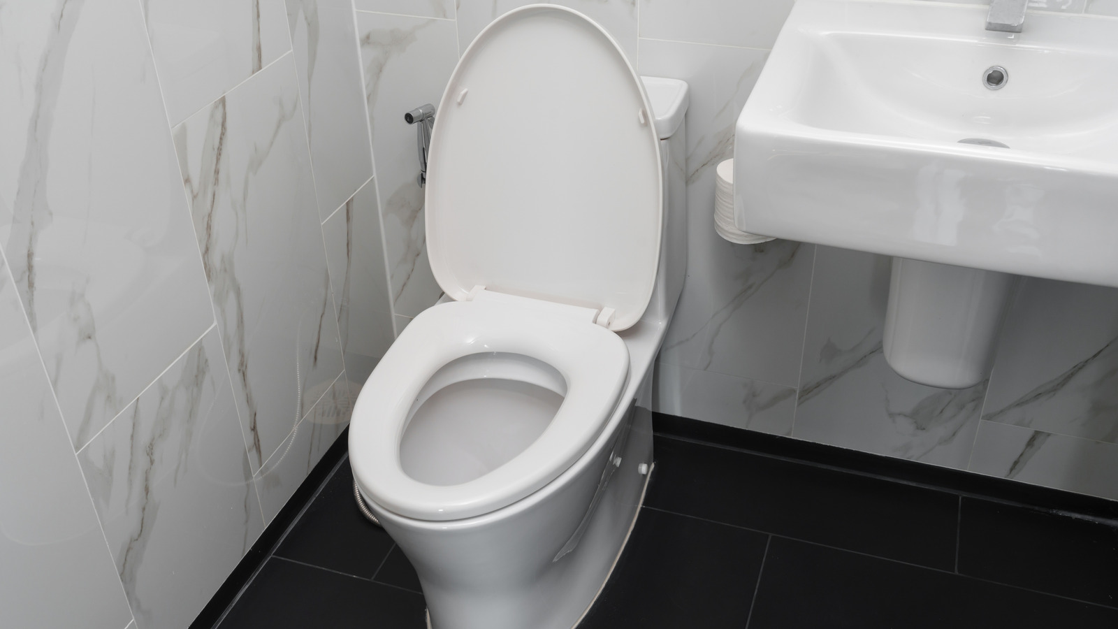 The Difference Between Round And Elongated Toilets, And Which Is Right ...
