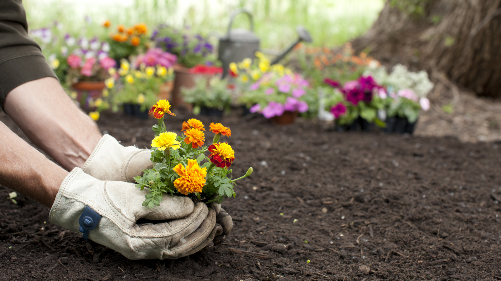 The DIY Flower Bed That's Already Sitting In Your Backyard