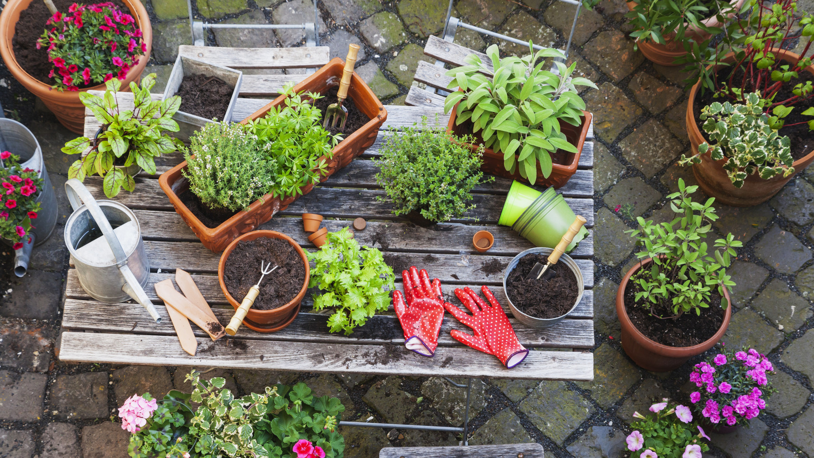 How To Upcycle A Bundt Pan Into A Shabby Chic Garden Planter