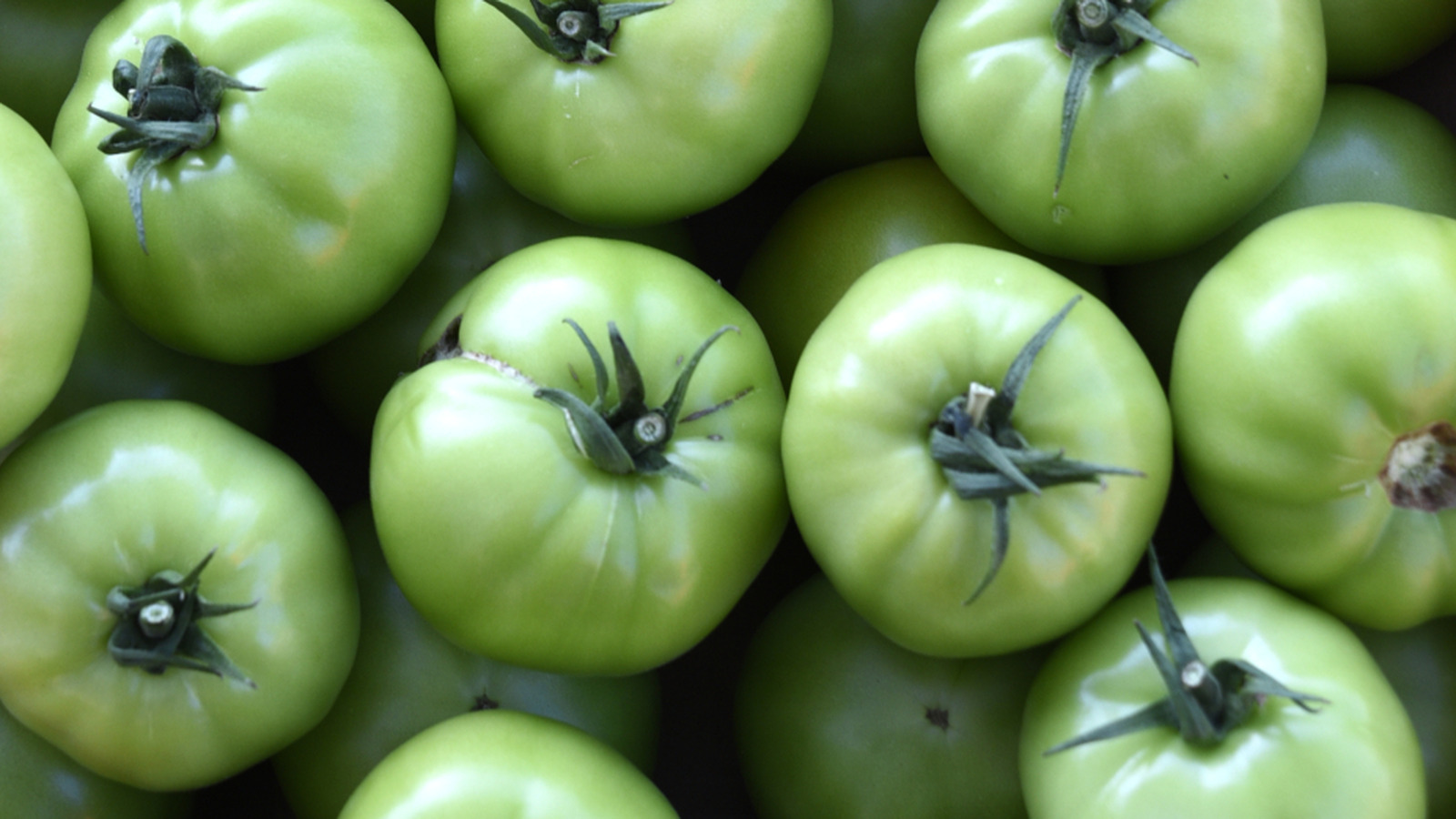 The Easiest Hack To Help Garden Tomatoes That Are Struggling To Ripen ...