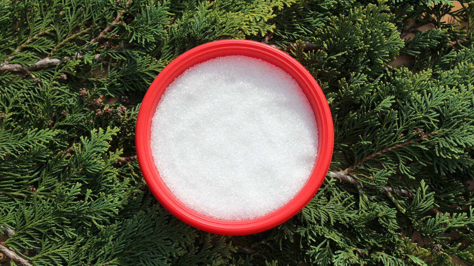 The Epsom Salt Hack That'll Add A Touch Of Last-Minute Holiday Magic To ...