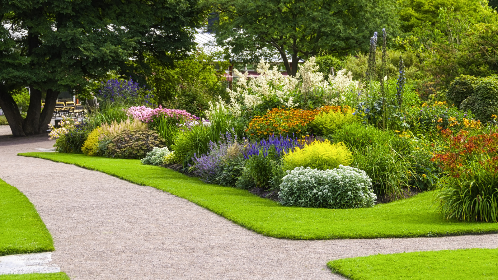 The Golden Flower Some Gardeners Grow To Control Weeds (& Does It ...