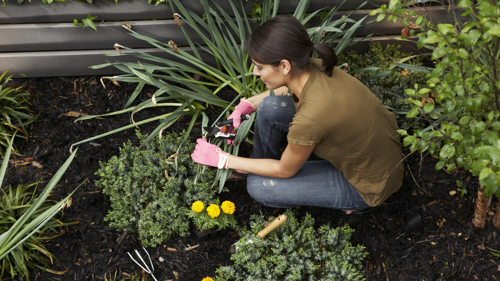 The Hack That Will Turn One Of Your Gardening Tools Into A Measuring Stick