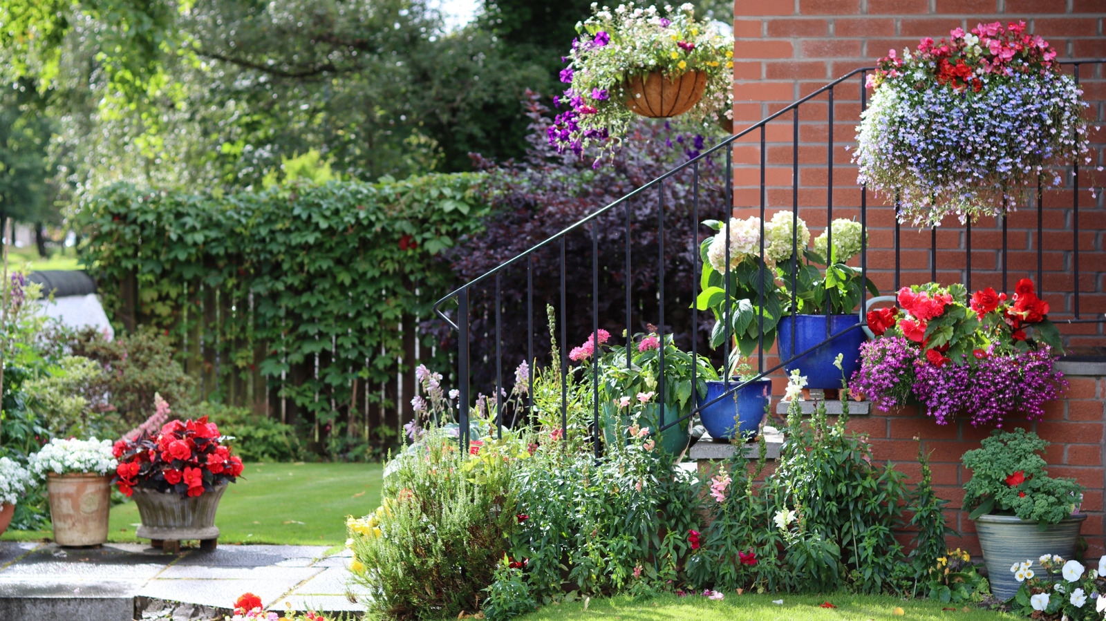 The Heat-Tolerant Trailing Plant That Thrives In Full Sun