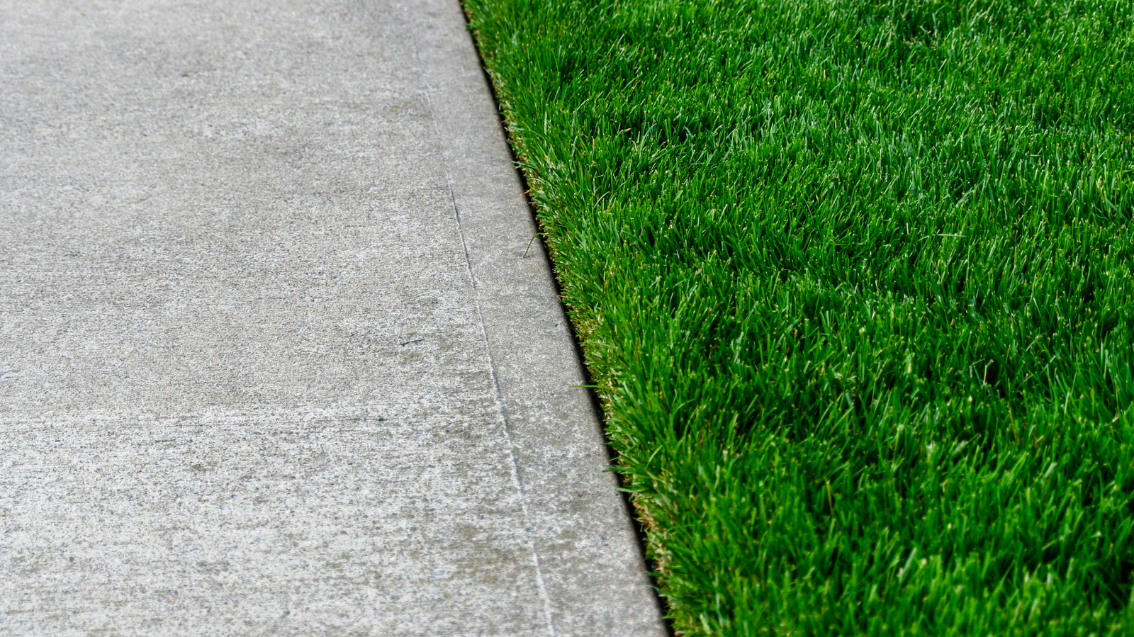 The Household Staple That Can Help With Landscape And Driveway Edging ...