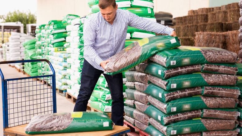 The Key Differences Between Loam And Topsoil The Key Differences Between Loam And Topsoil