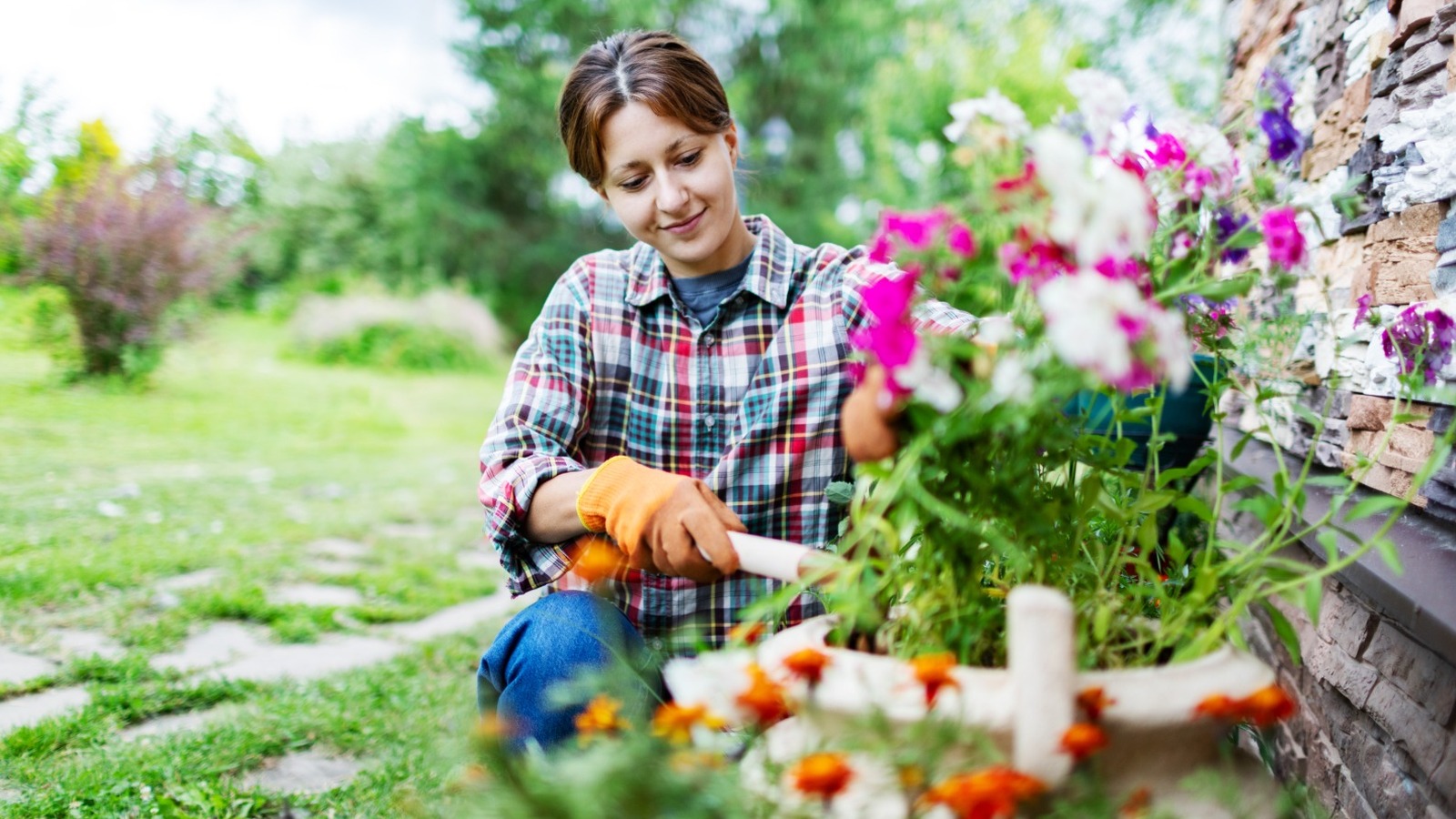 The Native Edible Plant That Produces Gorgeous Spring Flowers
