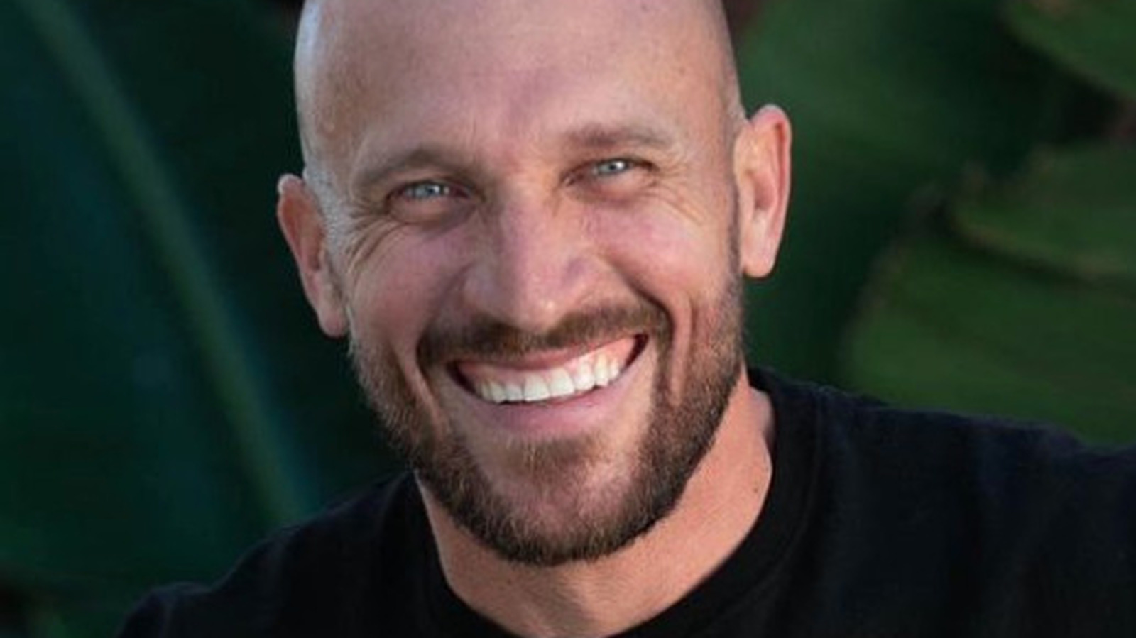 The One Thing Every Homeowner Needs In Their Yard, According To The ...