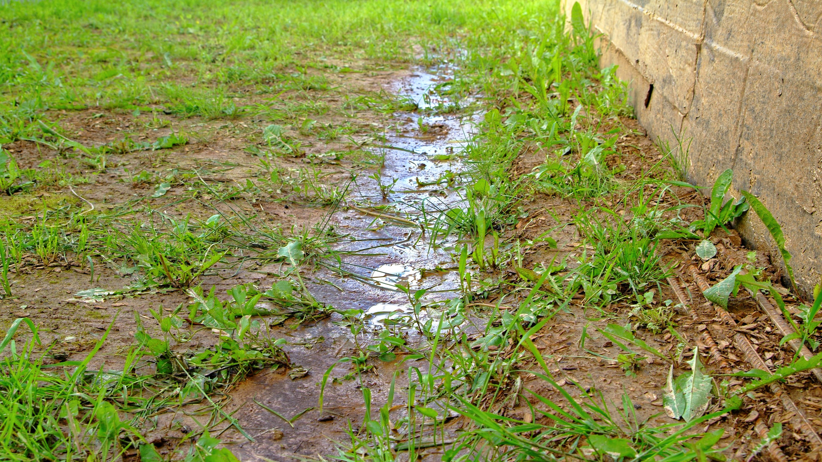 The Paver DIY That'll Instantly Improve A Muddy Path Between ...