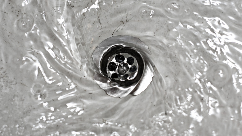 The Right Way To Dispose Of Bleach