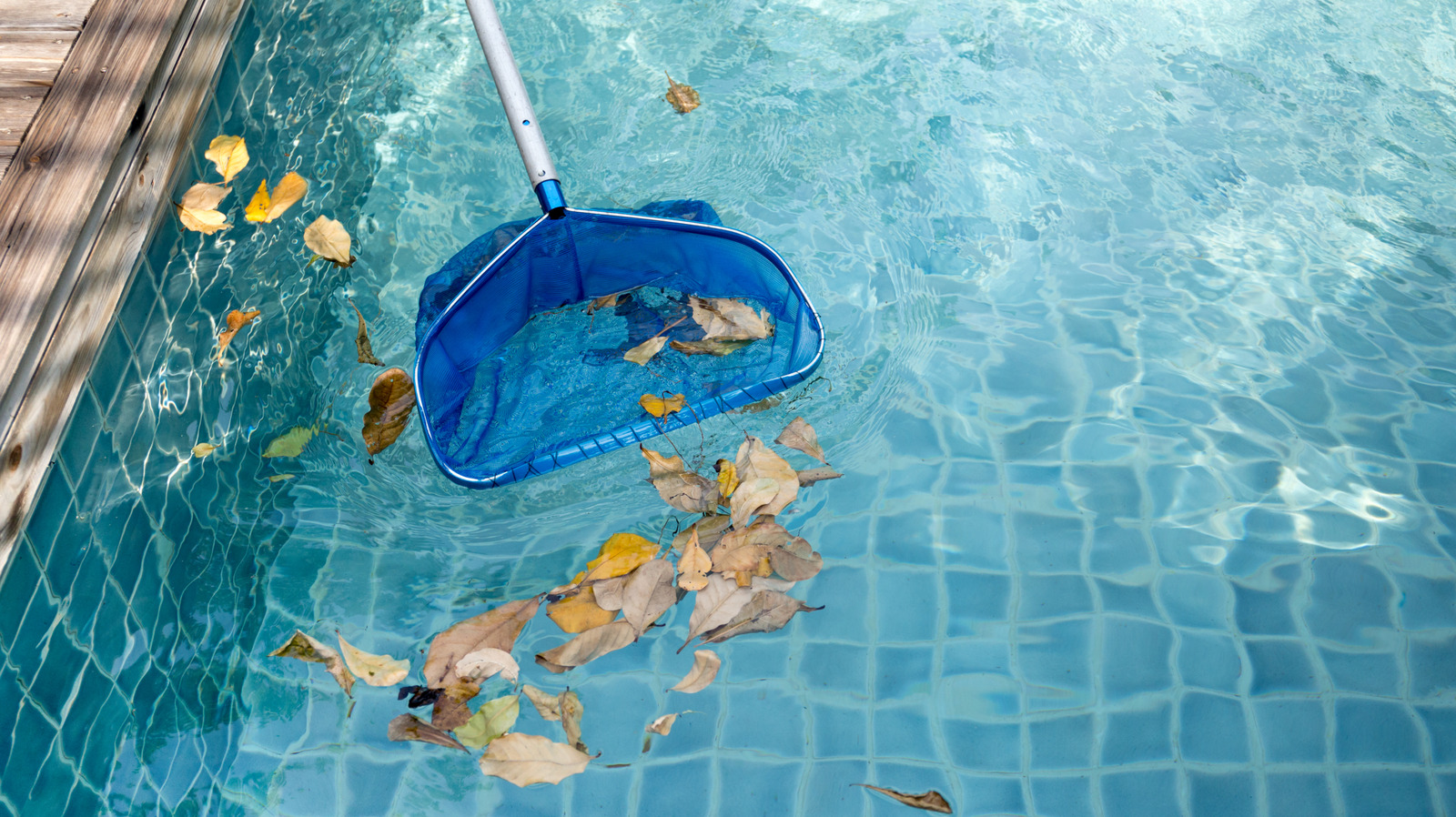 The Ryobi Tool That Will Make Cleaning Your Pool A Breeze