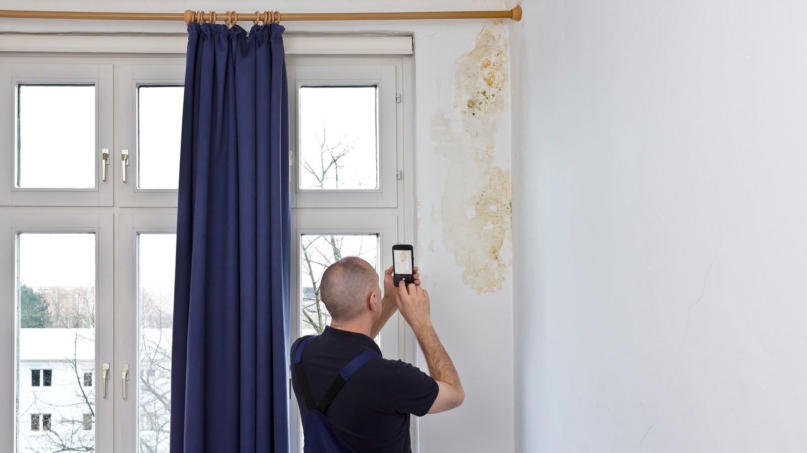The Salt Hack People Are Using To Combat Mold In Homes (& Does It ...