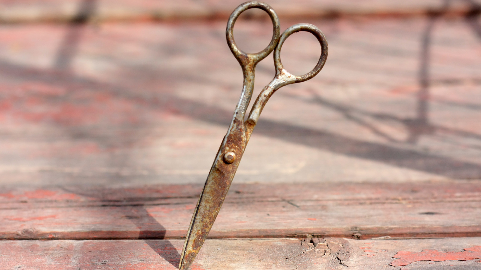 The Secret Ingredient You Can Use To Clean Up Rust