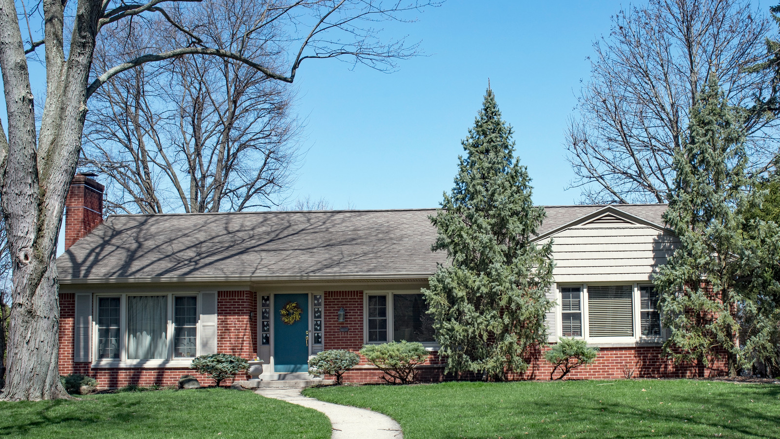 The Simple Landscaping Tip That Will Keep Your Red Spruce Tree Looking ...