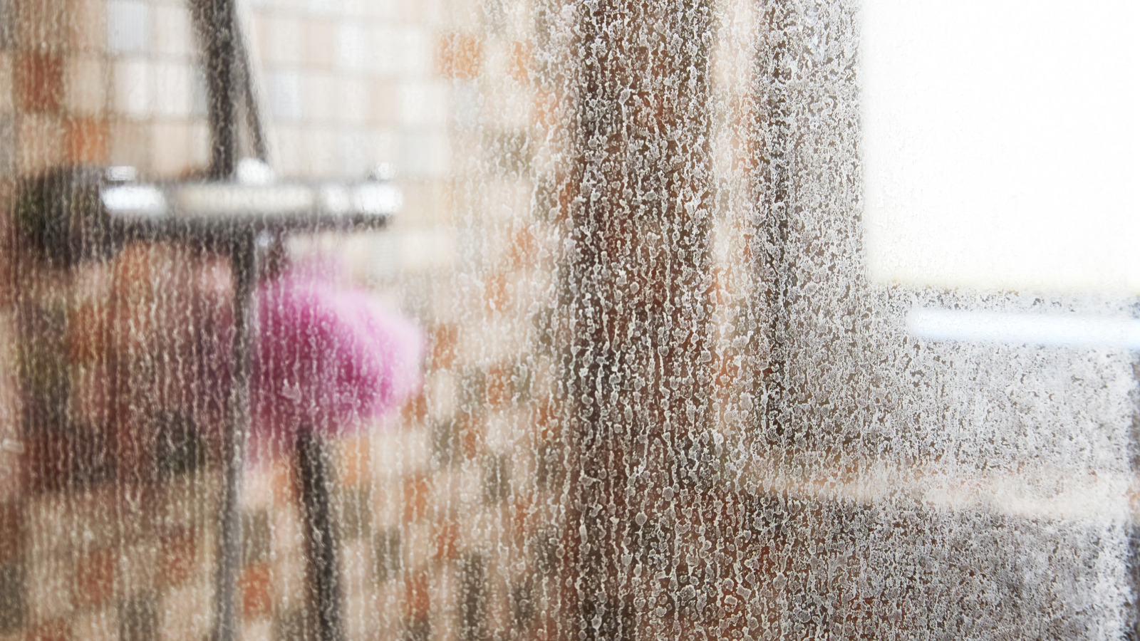 The Simple Maintenance Task That Helps Prevent Buildup In Your Glass Shower