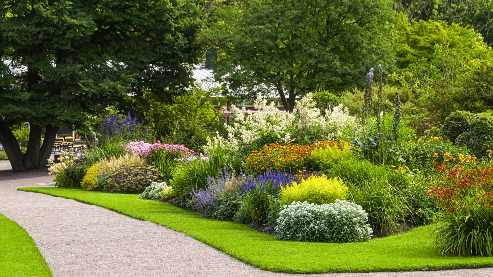 The Stunning Tree That'll Add A Bold Pop Of Color To Your Yard
