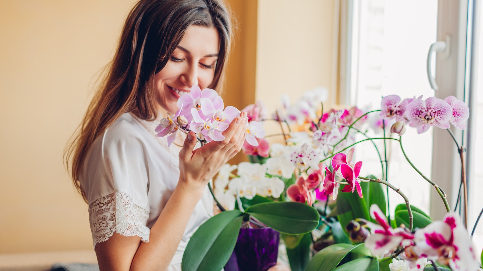 The Summertime Flowering Bulb You Should Plant If You Love Orchids
