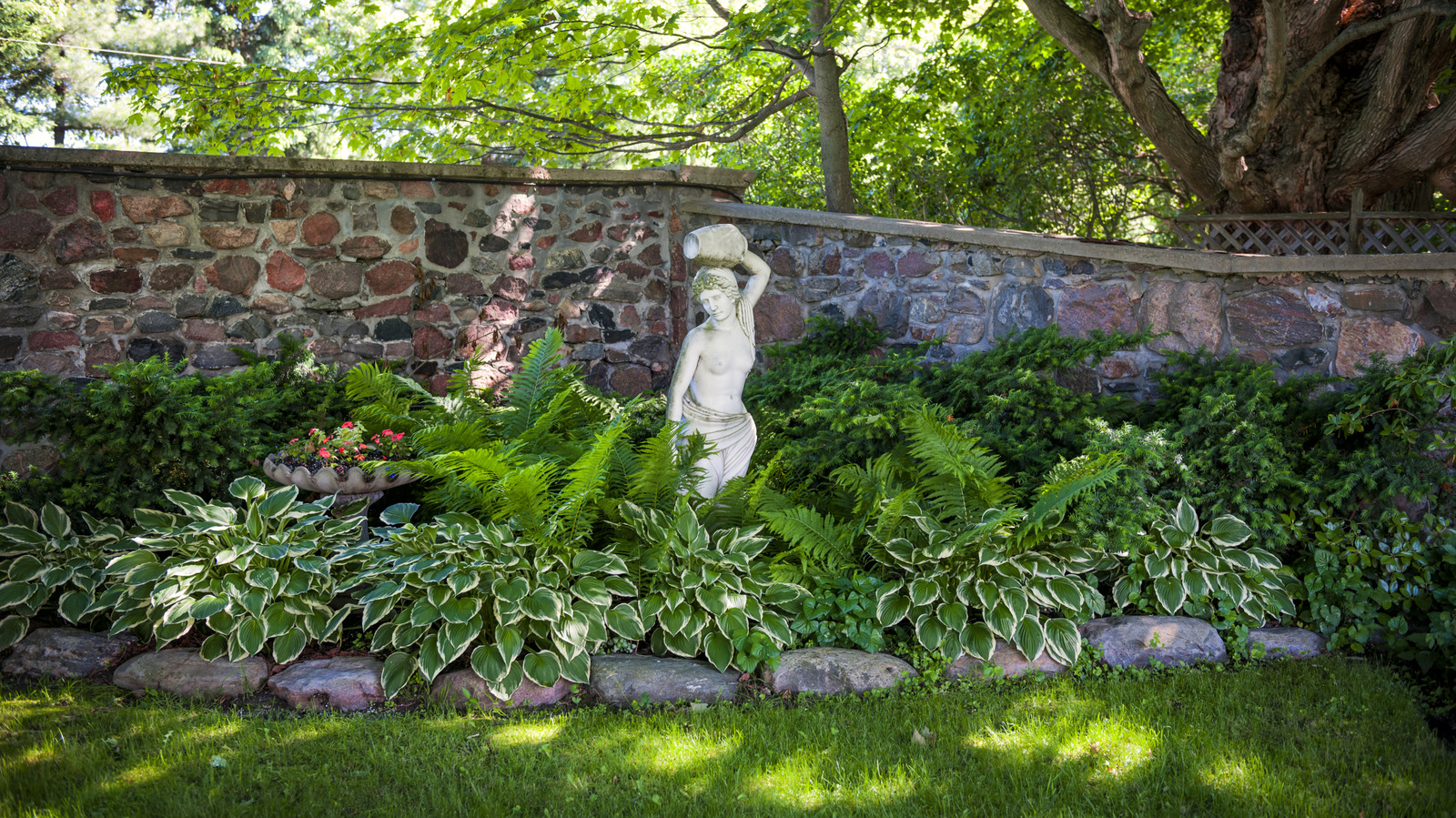 The Sweet-Smelling Herb Best For Growing Ground Cover In The Shade