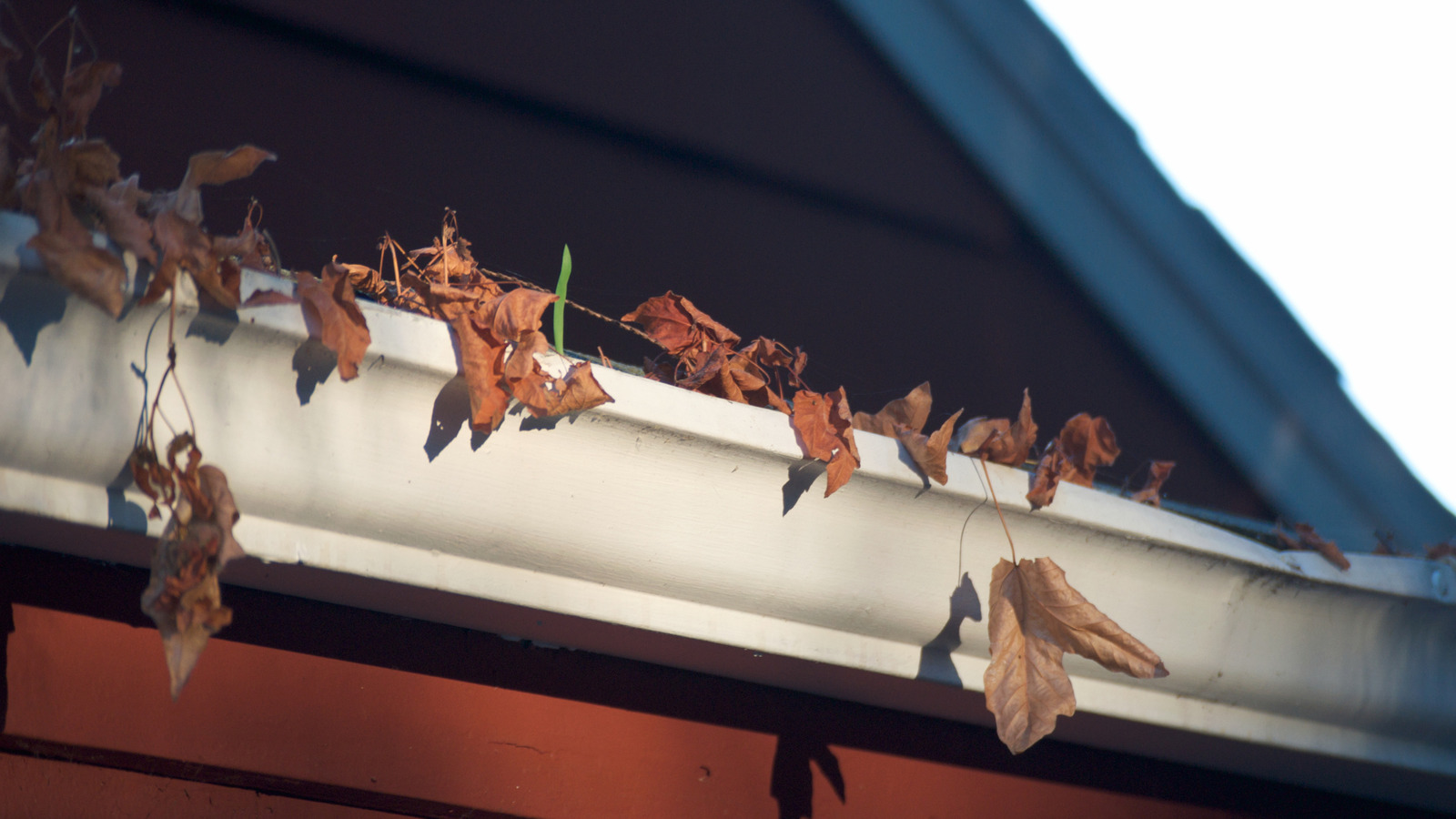 The Gutter-Cleaning Tool That Makes It Easy To Remove Leaves And Debris