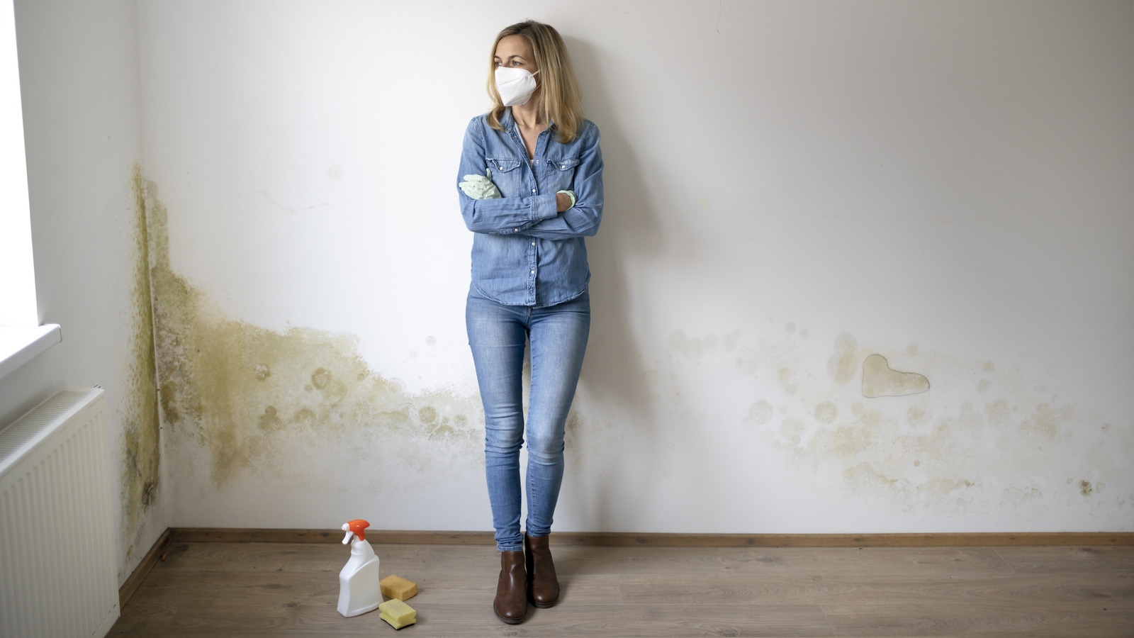 The Ultimate Guide To Repairing Water Damage: From Demo To Painting