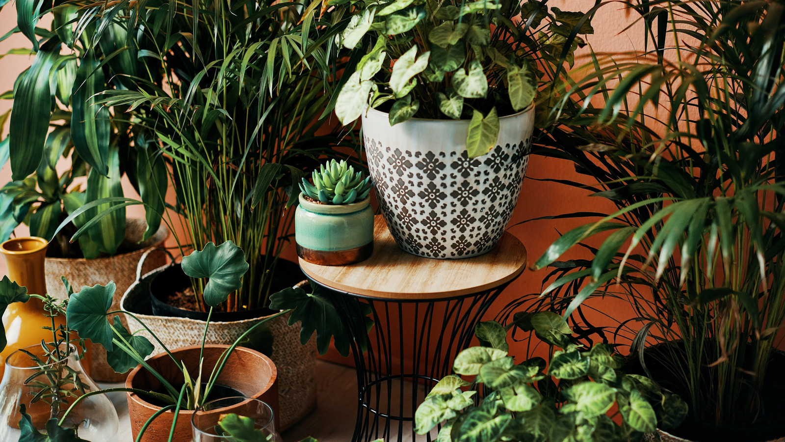 The Unexpected Benefit Of Buying Stylish Planters For Your Houseplants
