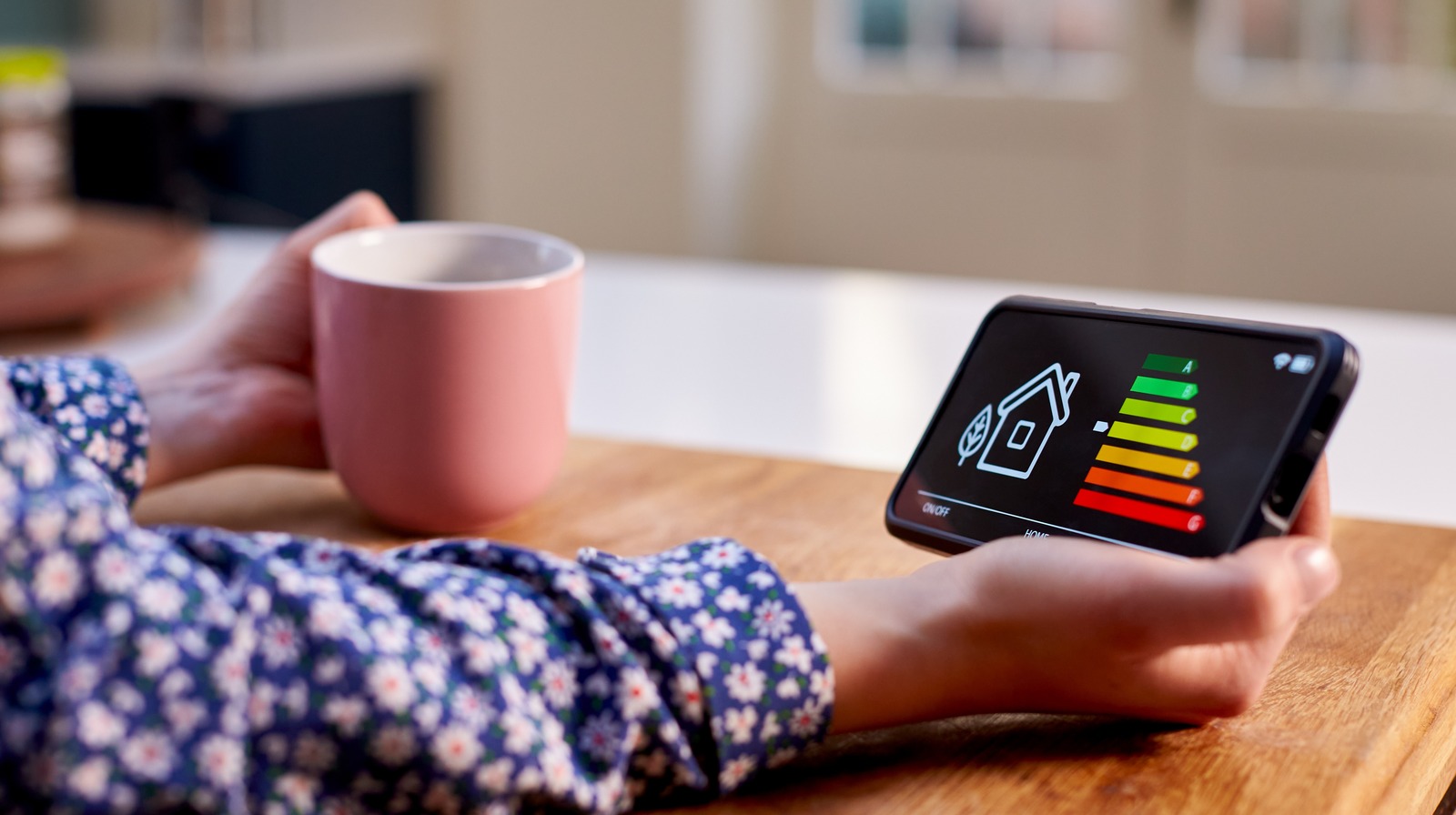 The Ups And Downs Of Whole Home Energy Monitoring Systems