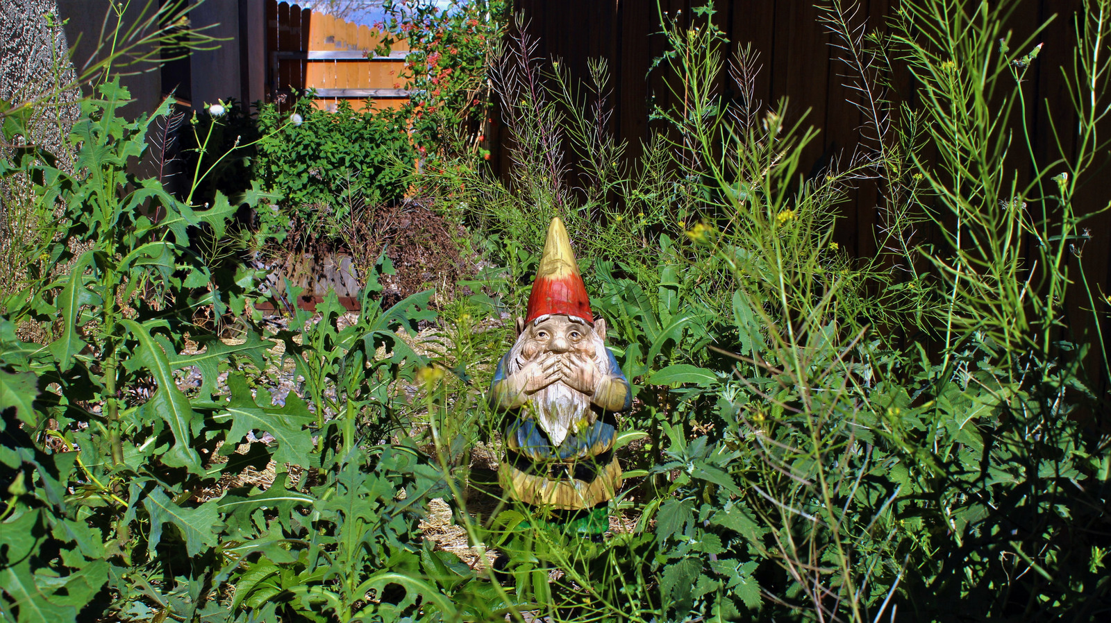 The WD-40 Hack That May Kill Prickly Weeds In Your Yard