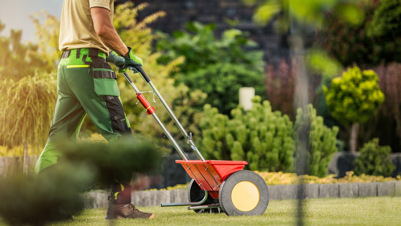 Things You Should Never Do When Fertilizing Your Lawn