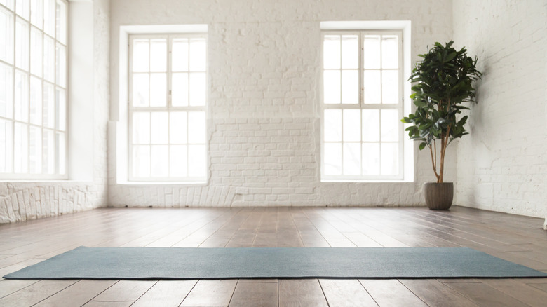 Things Your Home Doesn't Actually Need Things Your Home Doesn't Actually Need