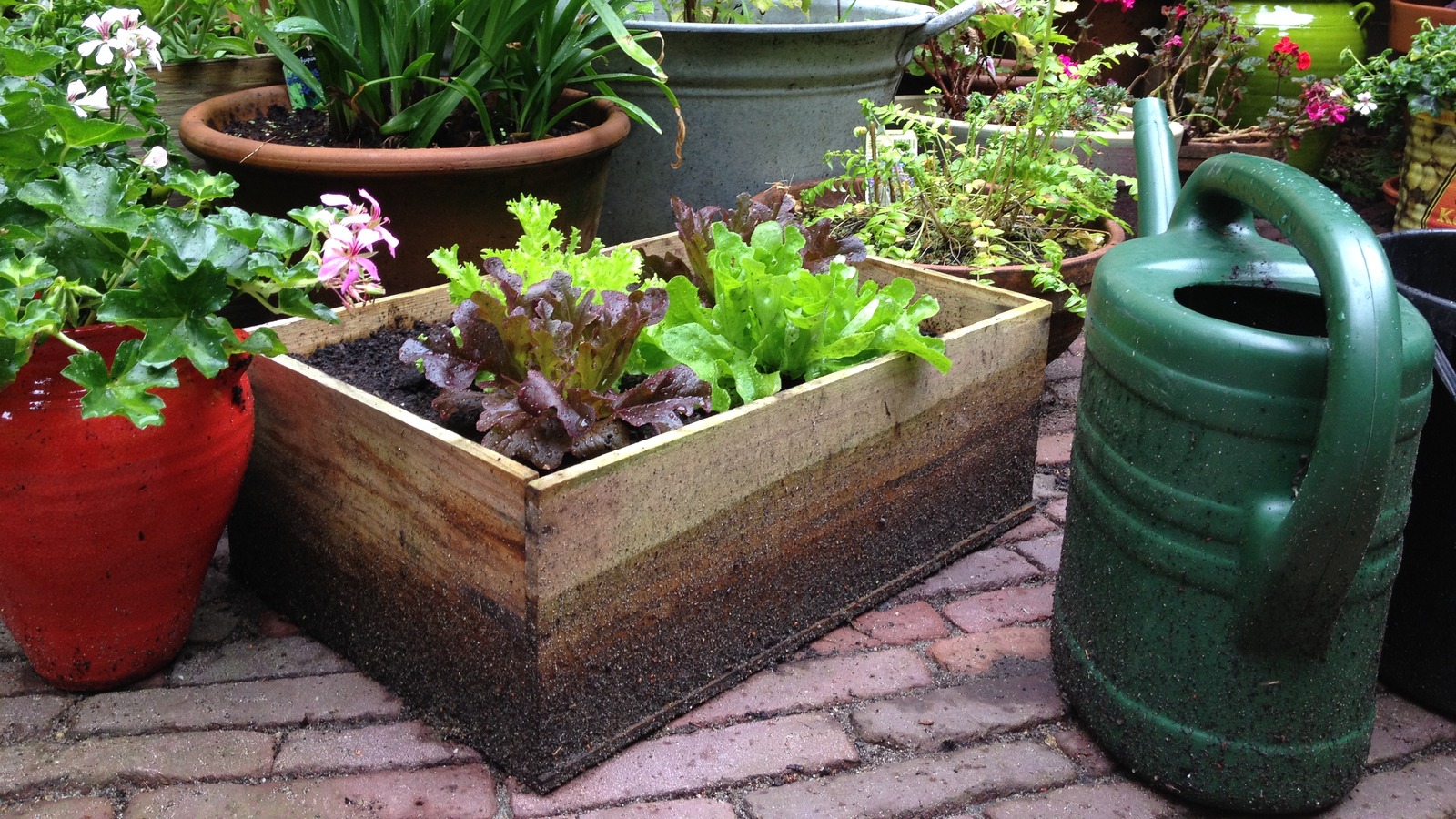This IKEA KNAGGLIG Hack Will Make Anyone A Gardener Even Without A Yard