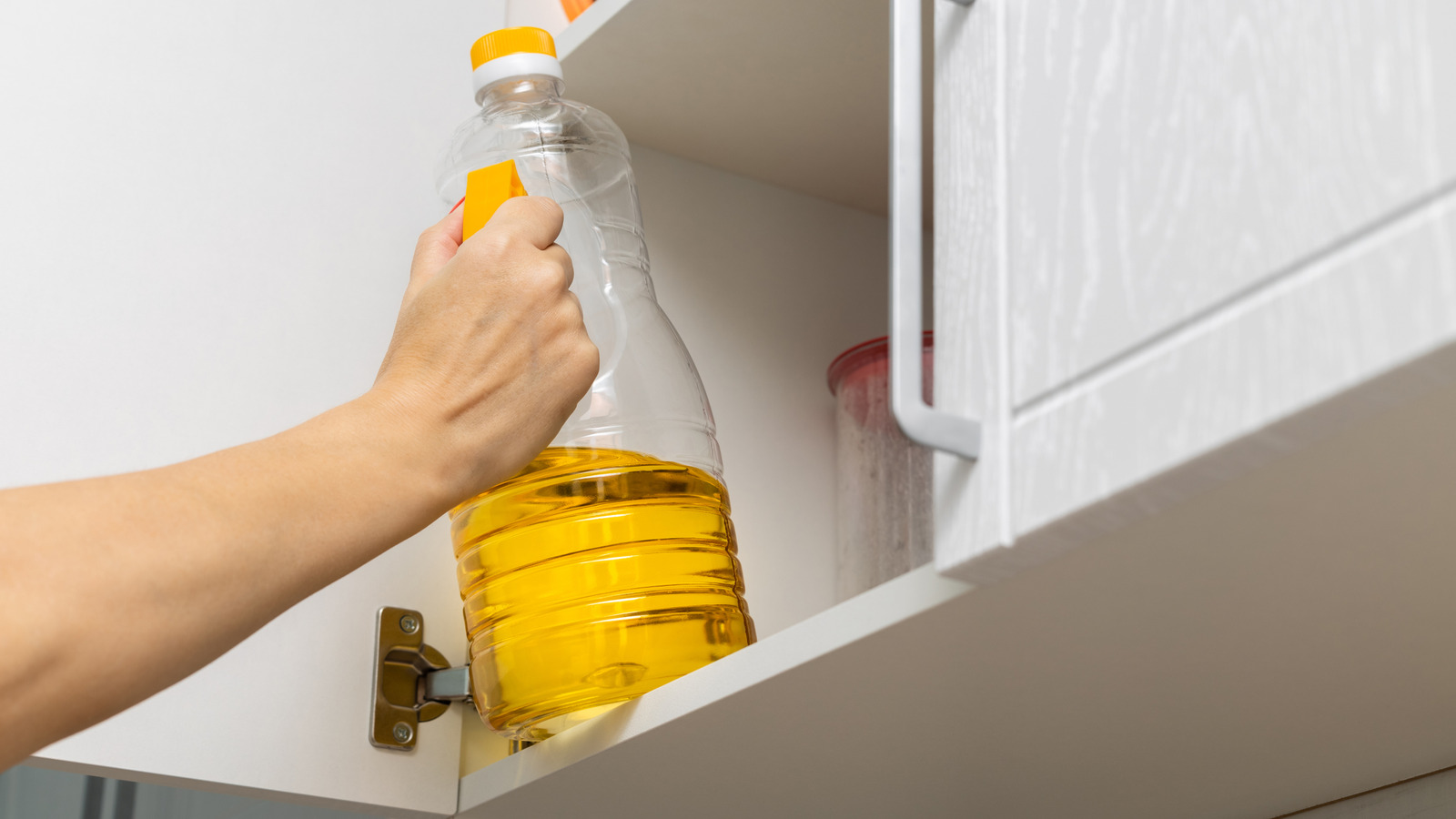 This Innovative Kitchen Storage Option Hides Cooking Oil While Keeping ...