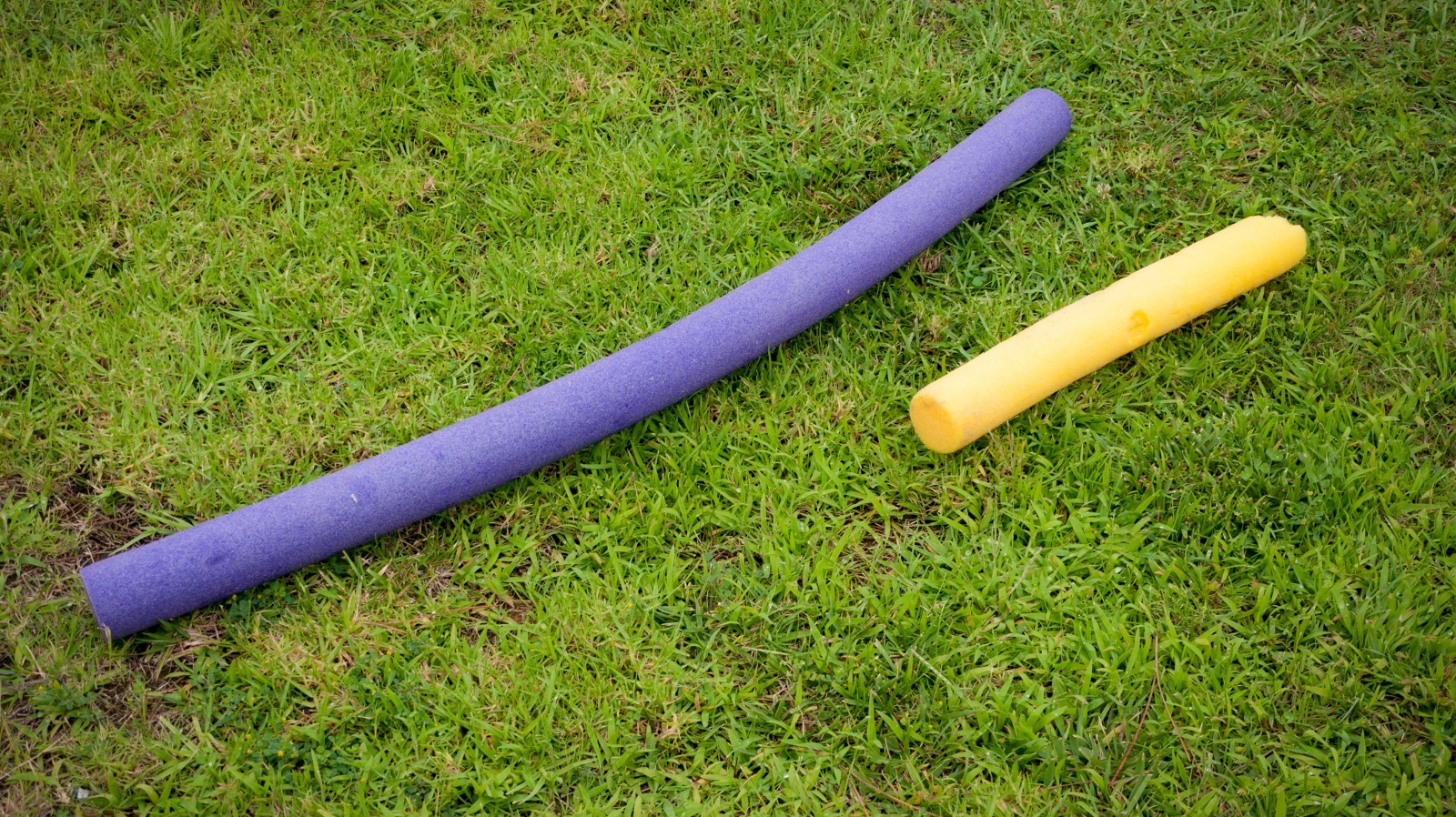 This Pool Noodle Hack May Be The Key To Easily Training Tree Branches